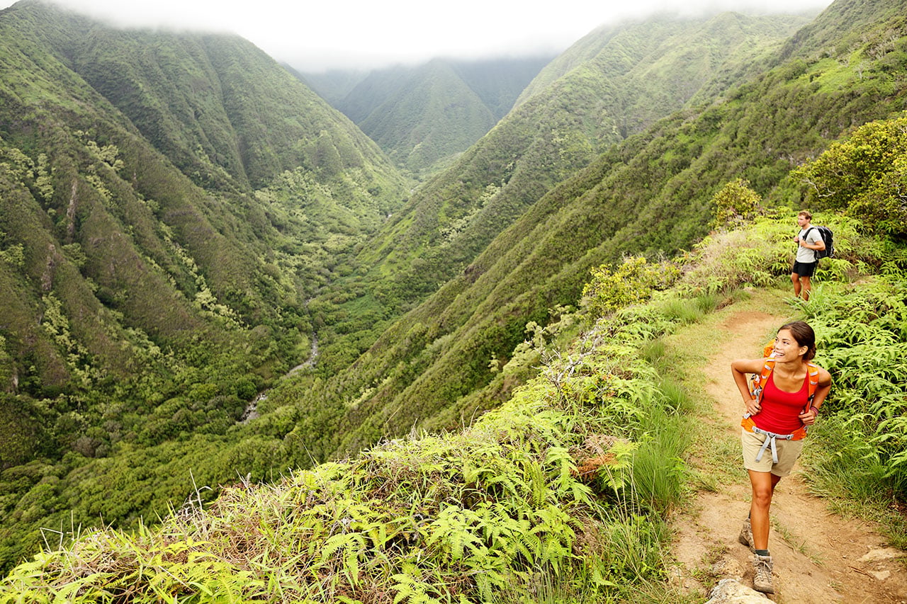 Orthopedic Surgery - IMUA Orthopedics